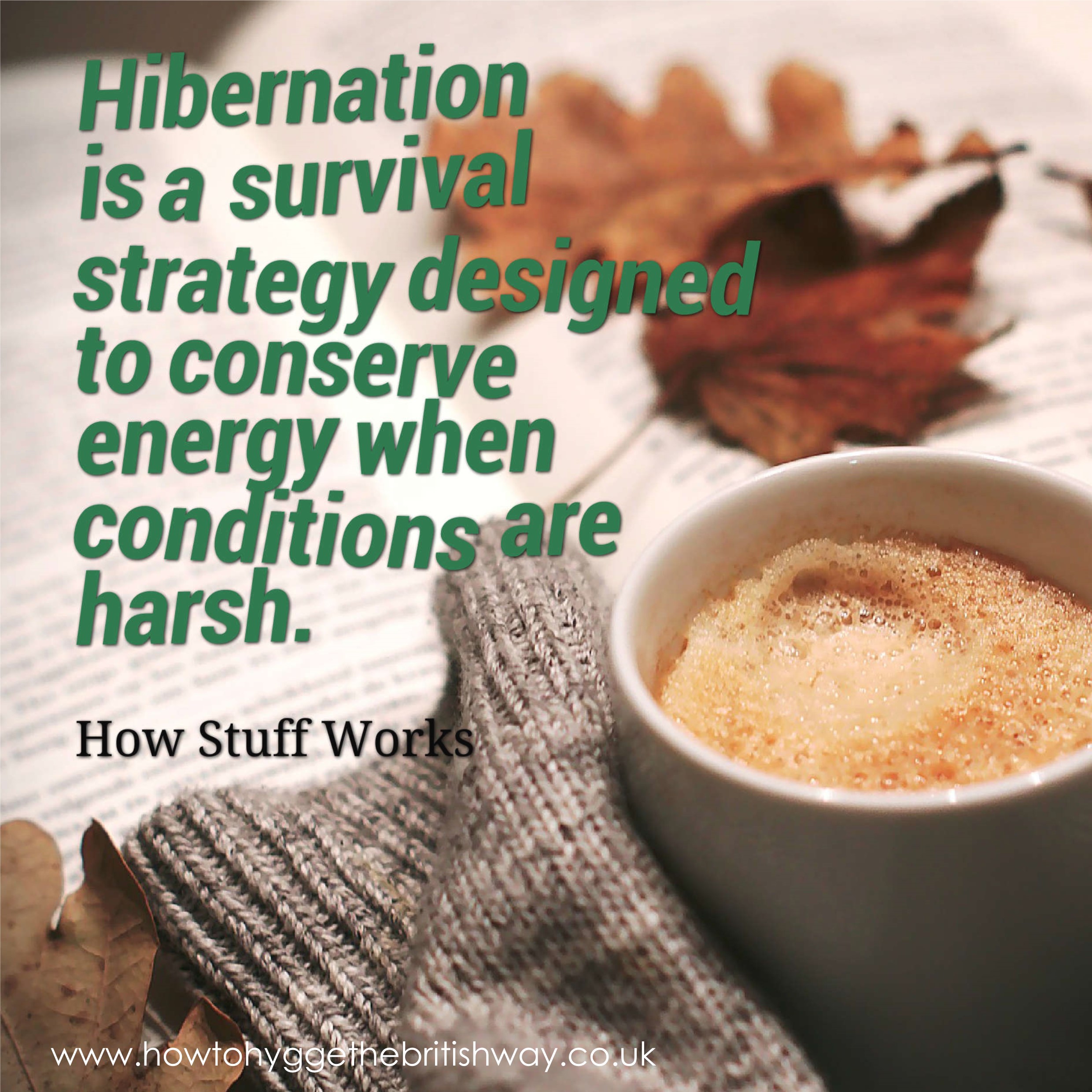 Hibernating for Humans: Settling down for the Winter – How to Hygge the ...