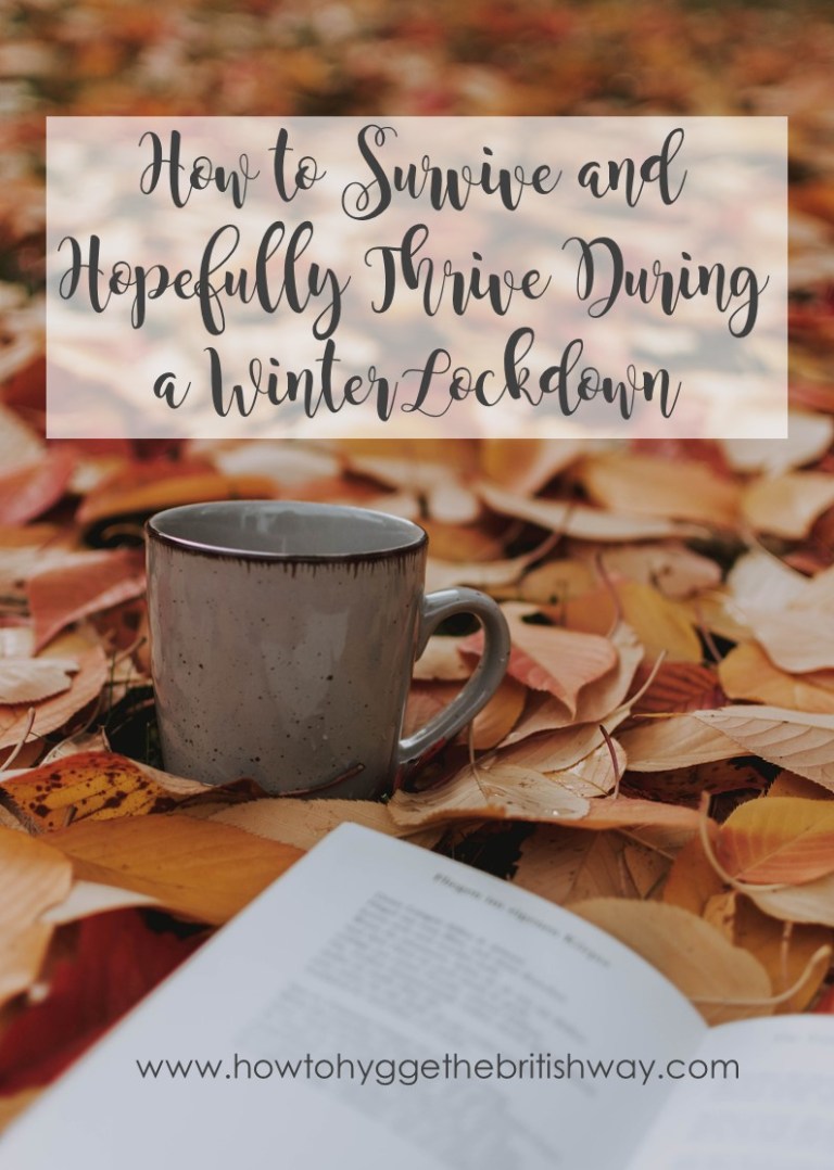 How to Survive and, hopefully, Thrive during a Winter Lockdown – How to ...