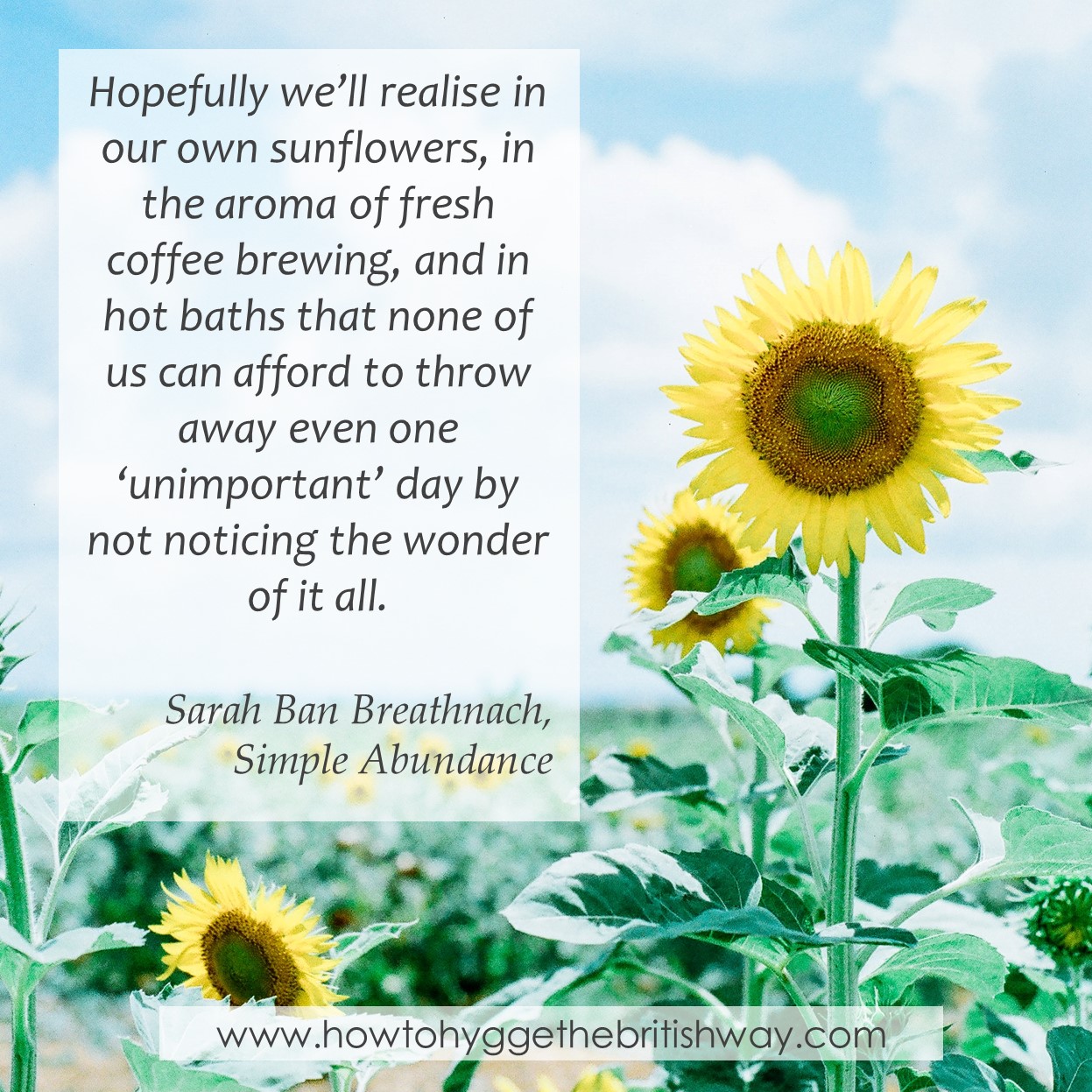 A Week of Wise Words: A Year of Simple Abundance So Far. – How to Hygge ...